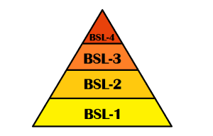 BioSafety - Departments & Offices